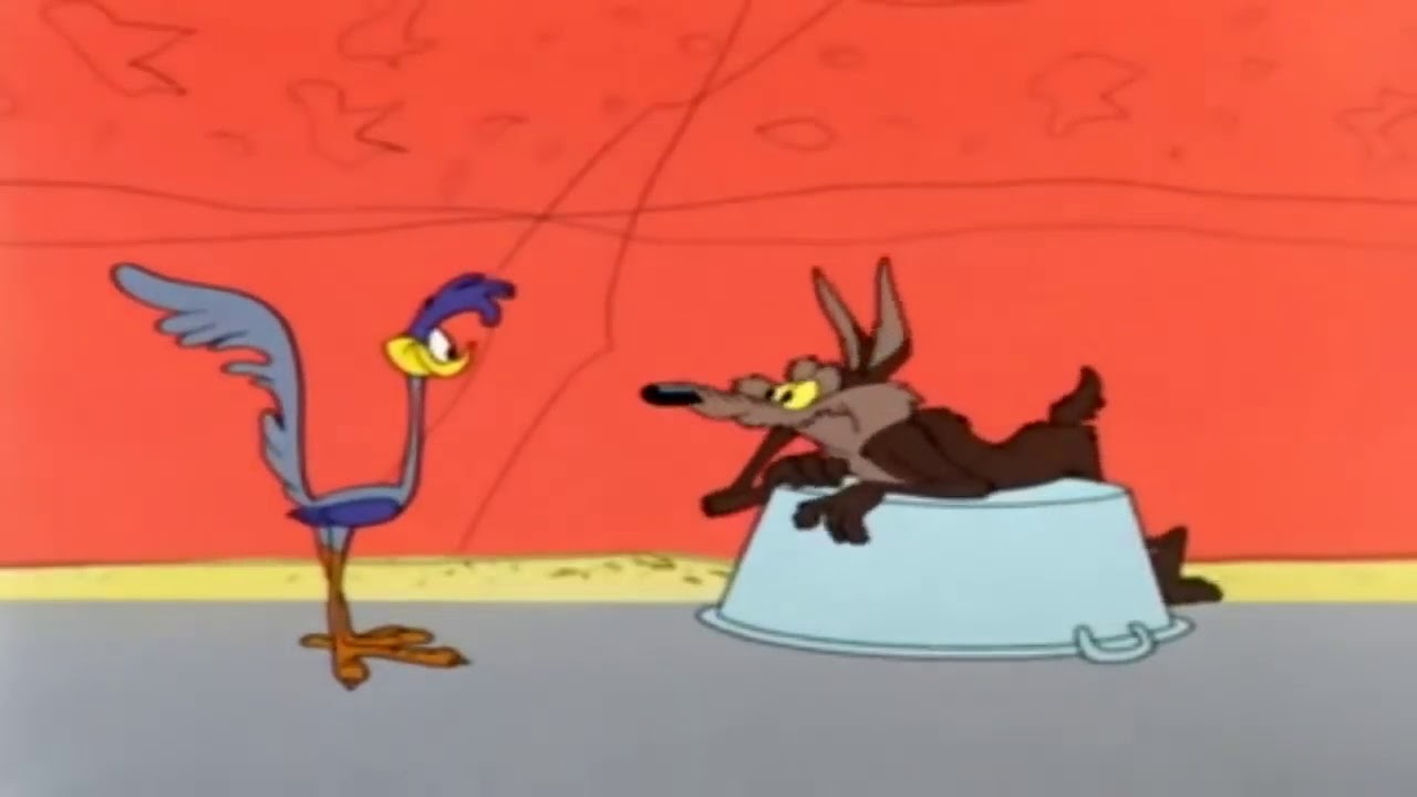 Roadrunner vs Wile E Coyote – Wile E Coyote Best Moments | Kinderfilmpjes Roadrunner vs Wile E Coyote – Wile E Coyote Best Moments | Kinderfilmpjes